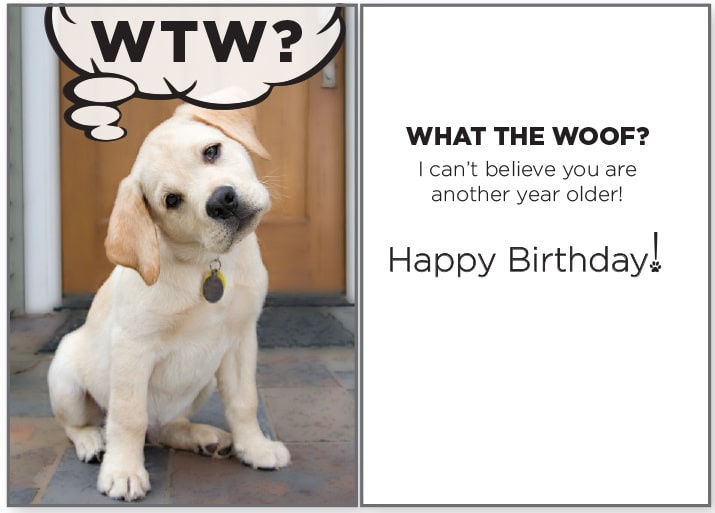 What The Woof Birthday Card | Cardsmart in Buffalo, NY - CardSmart ...