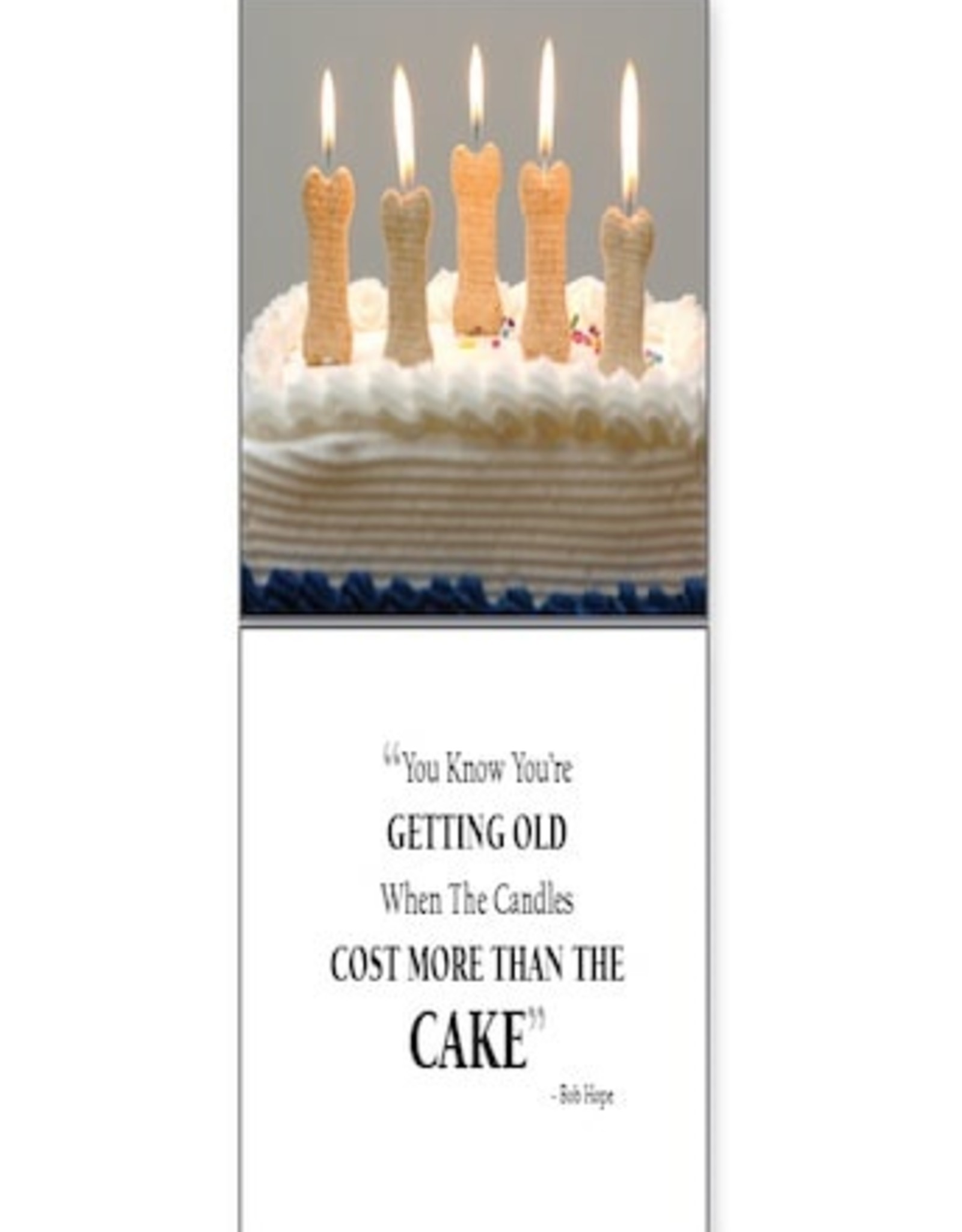 Dog Bones Birthday Day Cake Birthday Card | Cardsmart in Buffalo, NY ...