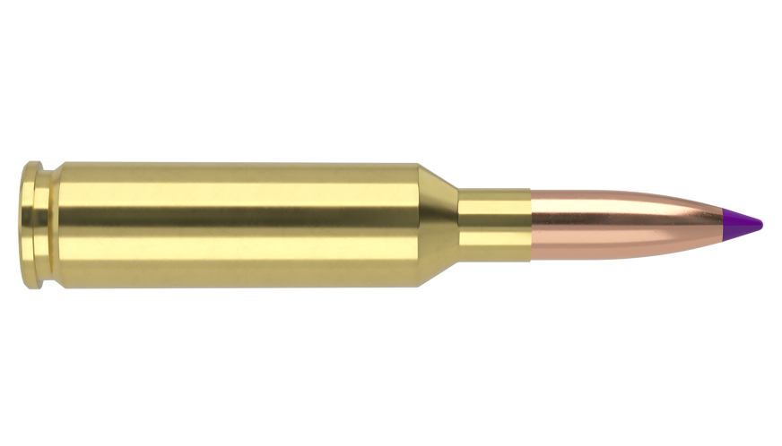 Nosler Ballistic Tip 6mm Creedmoor 95gr (20ct) - Spotted Dog Sporting Goods