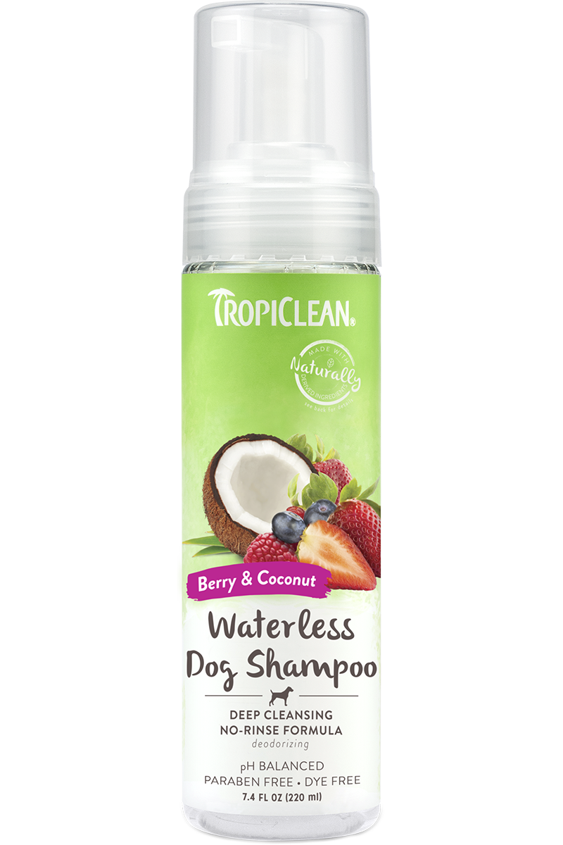 Tropiclean shampoing sans rinçage chien baies et coconut - Domaine Animal