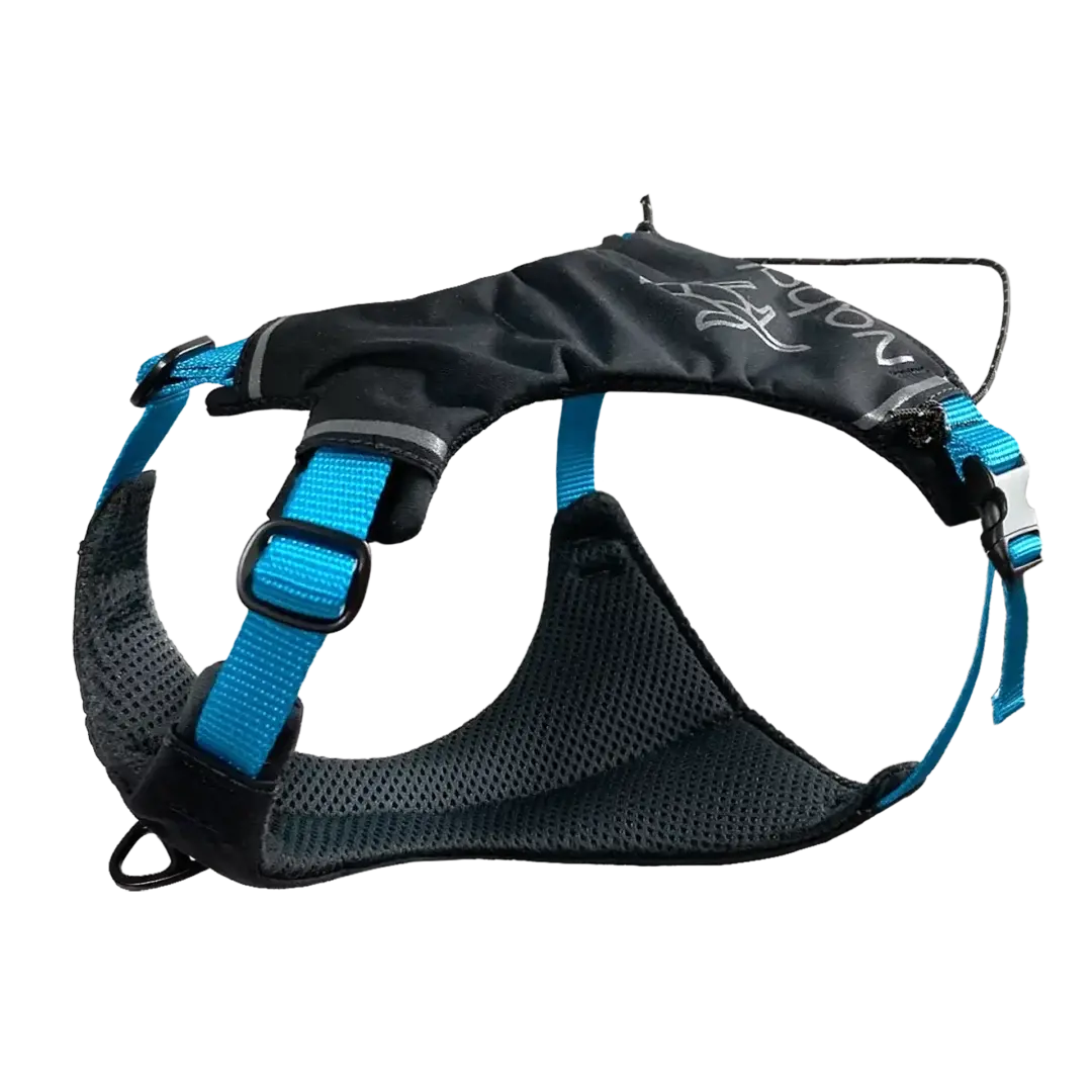 Nahak harnais de marche bleu pour petits chiens - Domaine Animal