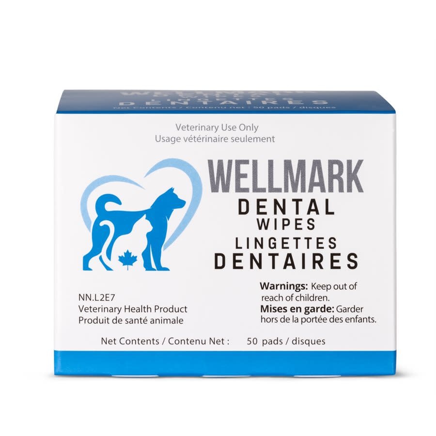 Wellmark lingettes dentaire 50u - Domaine Animal