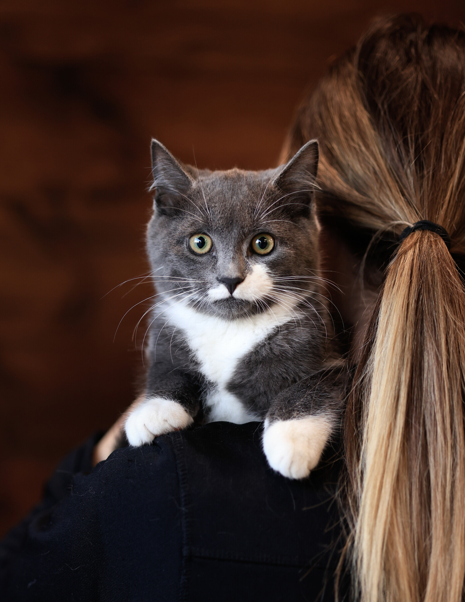 MATIS - Domaine Animal