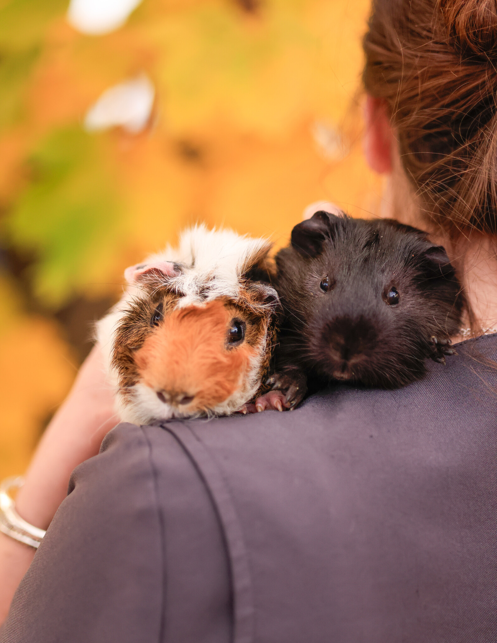 BIGGIE & TUPAC - Domaine Animal