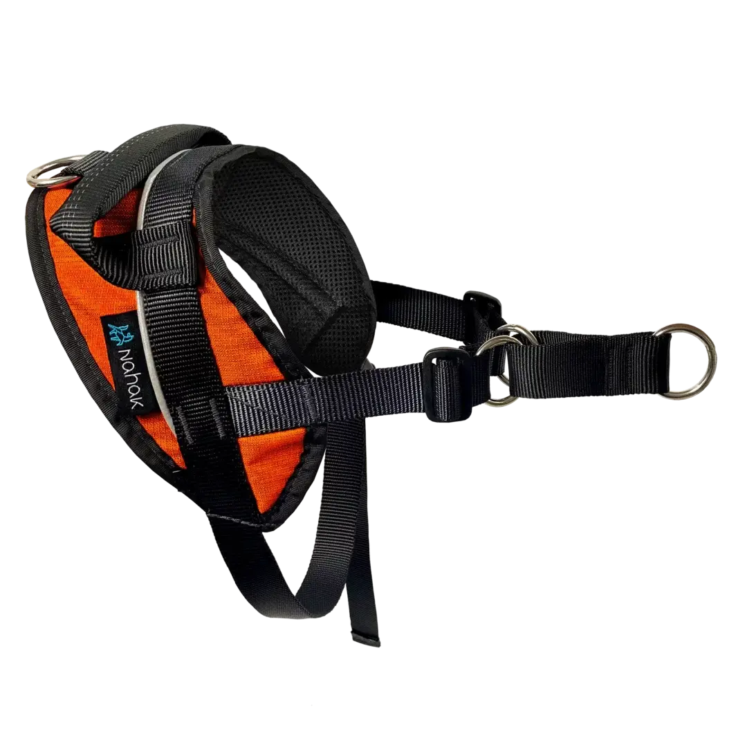 Nahak harnais de marche orange - Domaine Animal