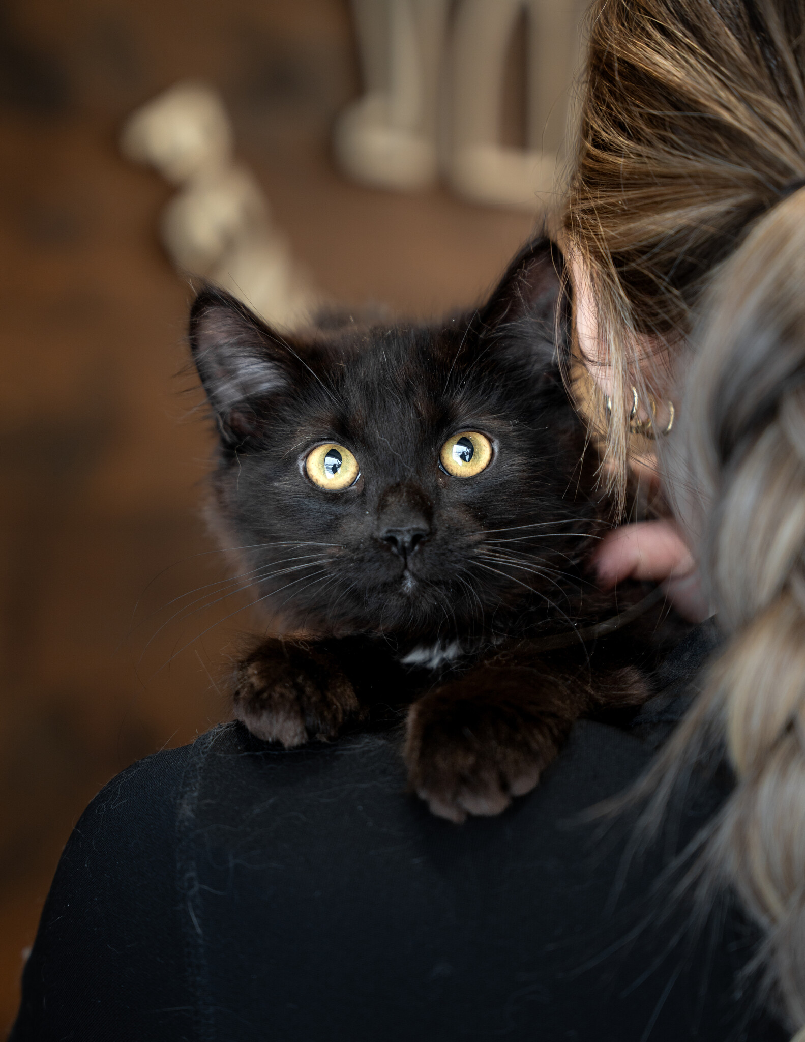 TOPAZ - Domaine Animal