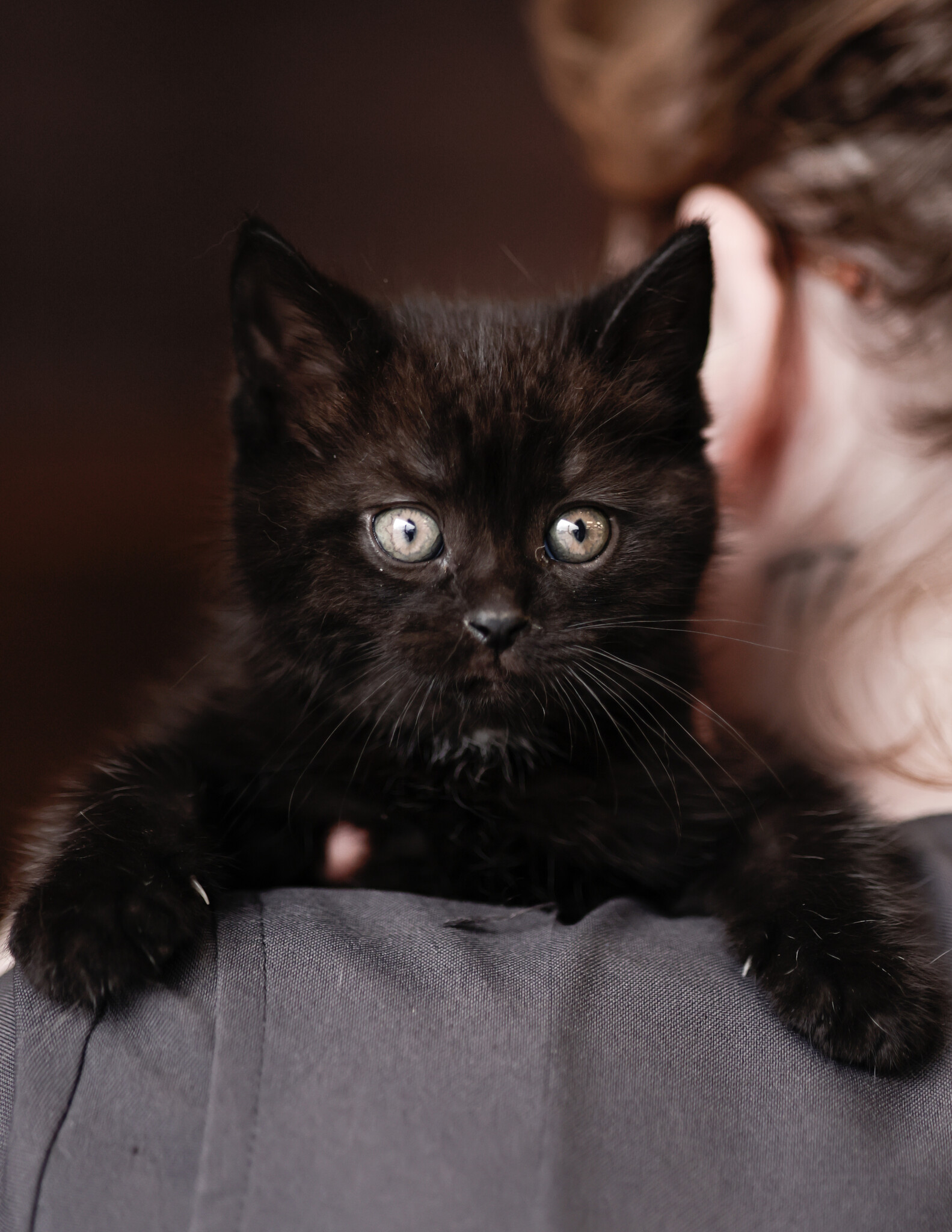 AISHA - Domaine Animal