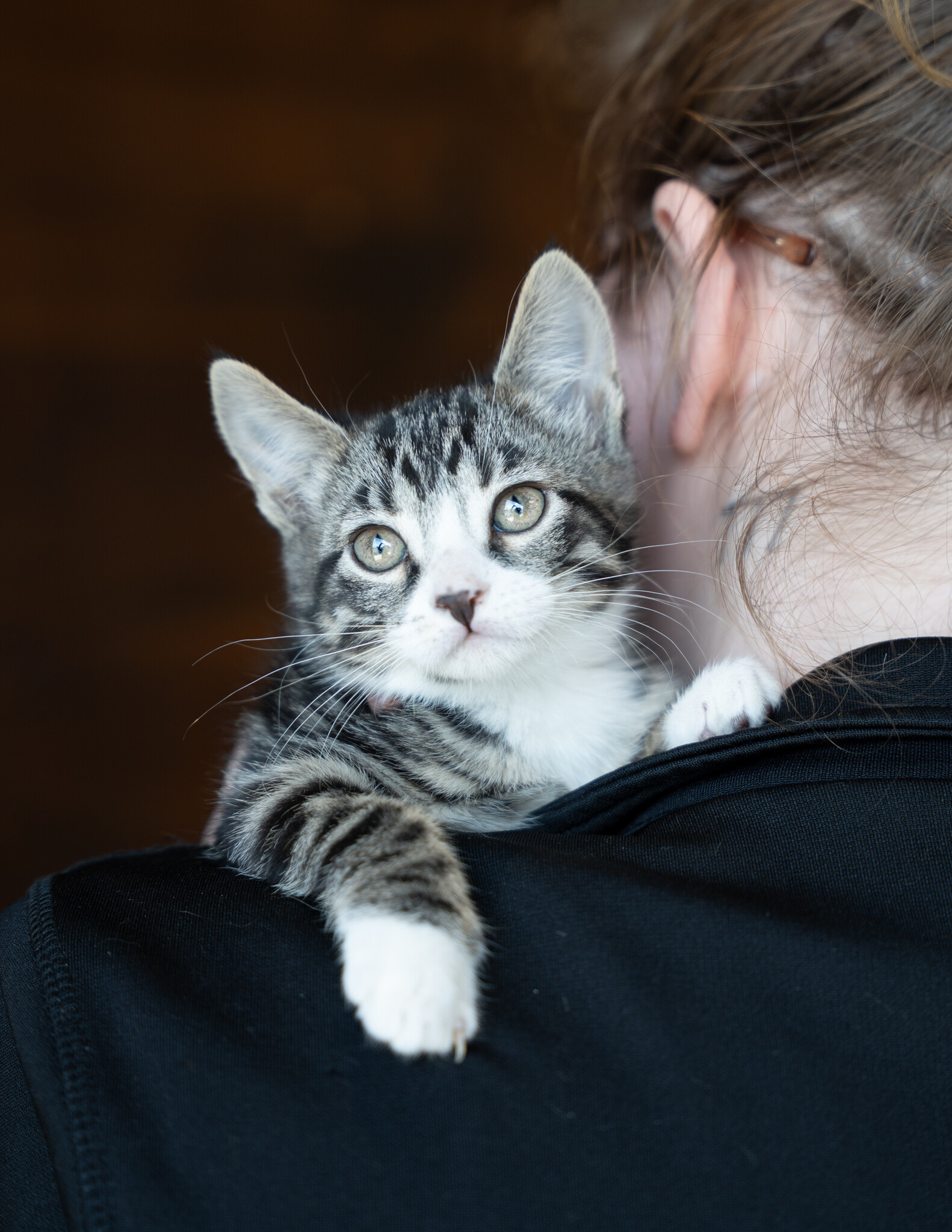 PENNY - Domaine Animal