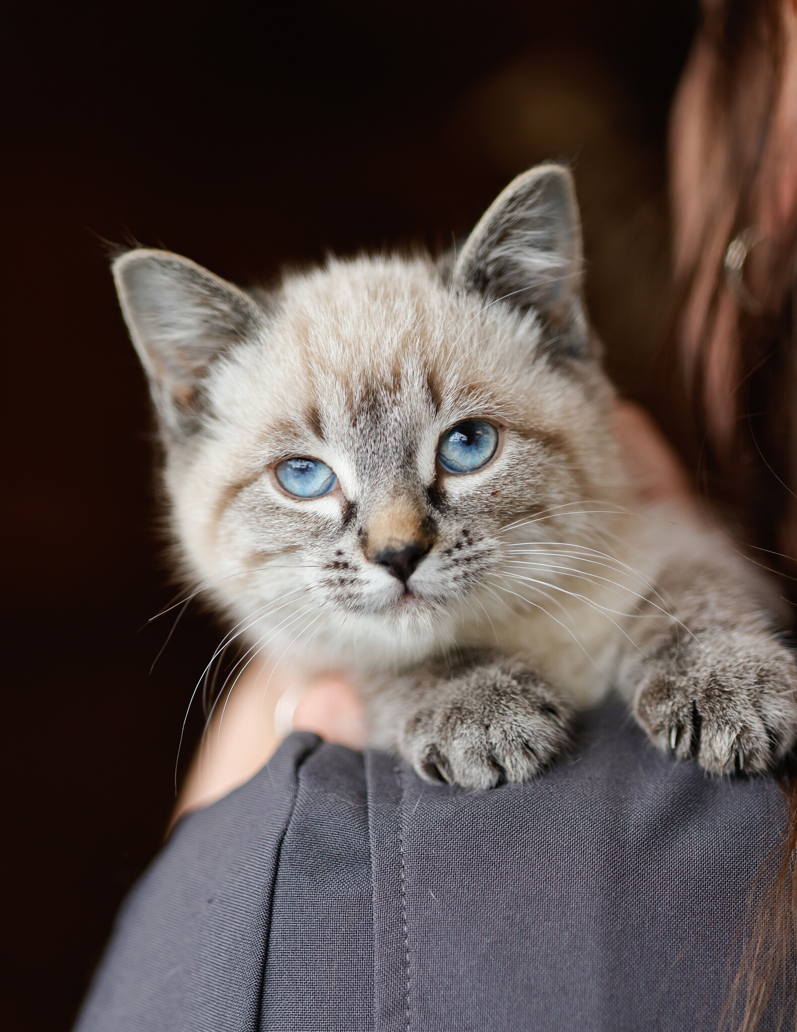 HIMA - Domaine Animal