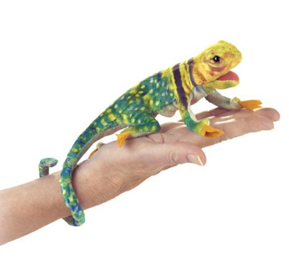 Folkmanis Mini Collared Lizard Finger Puppet - Endeavours ThinkPlay