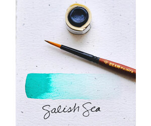 Beam Paints: Paintstones! Salish Sea - Endeavours ThinkPlay