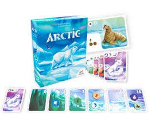 Arctic - Endeavours ThinkPlay
