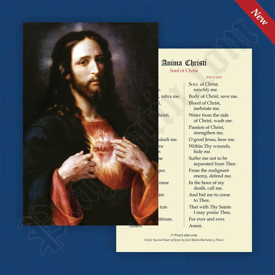 Latin-English Prayer Card Soul of Christ - St. Paul's Catholic Books ...