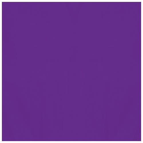 Amscan Purple Tissue Paper - 8ct. (20" x 20") - Party Adventure