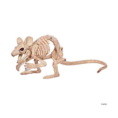 Paper First Affiliates 5" Creepy Crouching Skeleton Mouse - 1ct ...