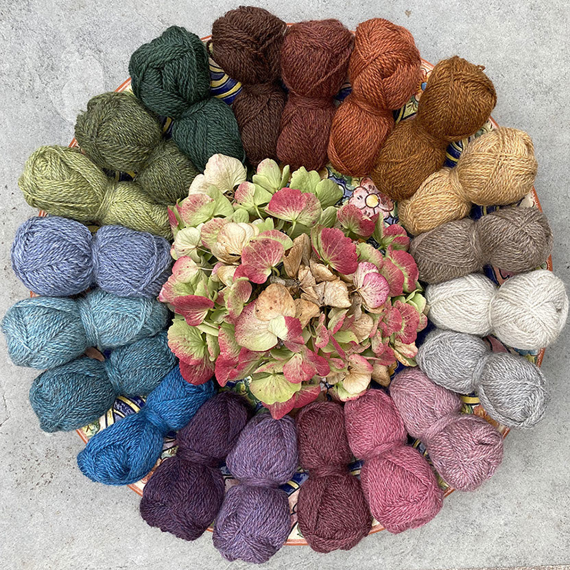 Marie Wallin Designs Limited Marie Wallin's British Breeds - For Yarn's ...
