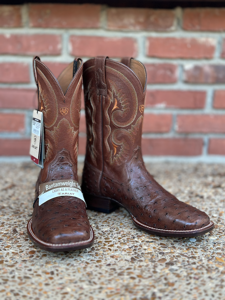 Order Ariat 10046961 Ostrich Boots – Ultra Style - Hewlett & Dunn