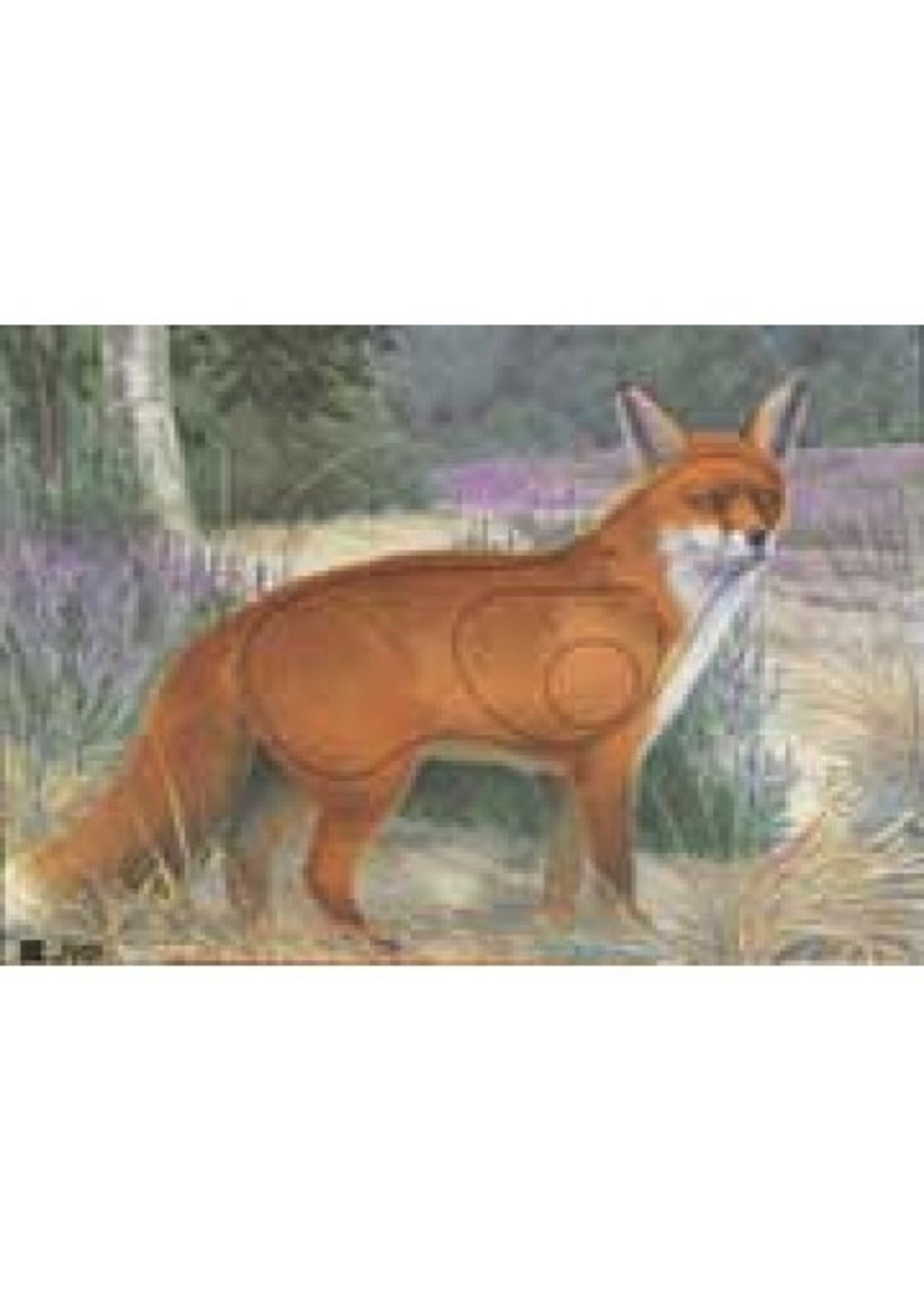 JVD Fox Target Face - Urban Archery Pty Ltd