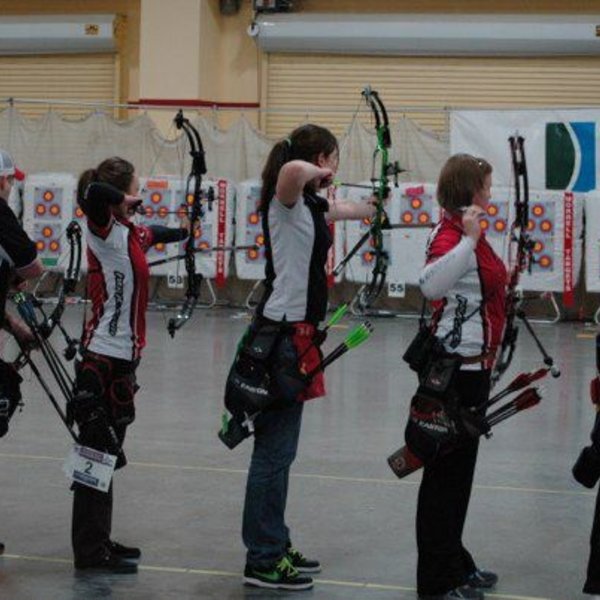 Shafts - Urban Archery Pty Ltd