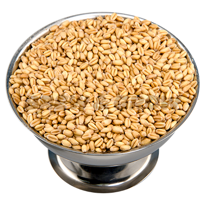 Torrified Wheat Oz - Brew & Grow Hydroponics and Homebrewing Supplies ...