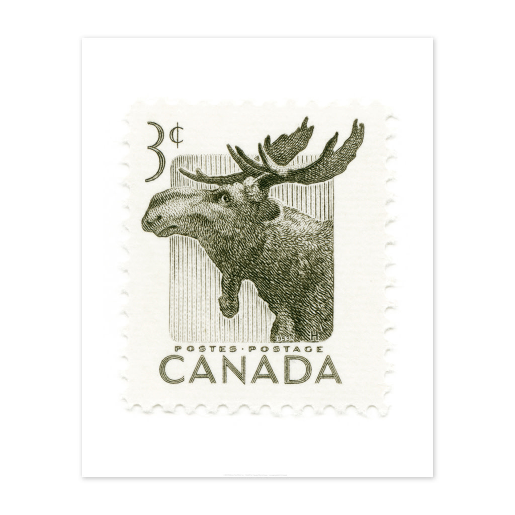 Canada Moose Stamp | Vivid Print - Vivid Print | Bee Waeland