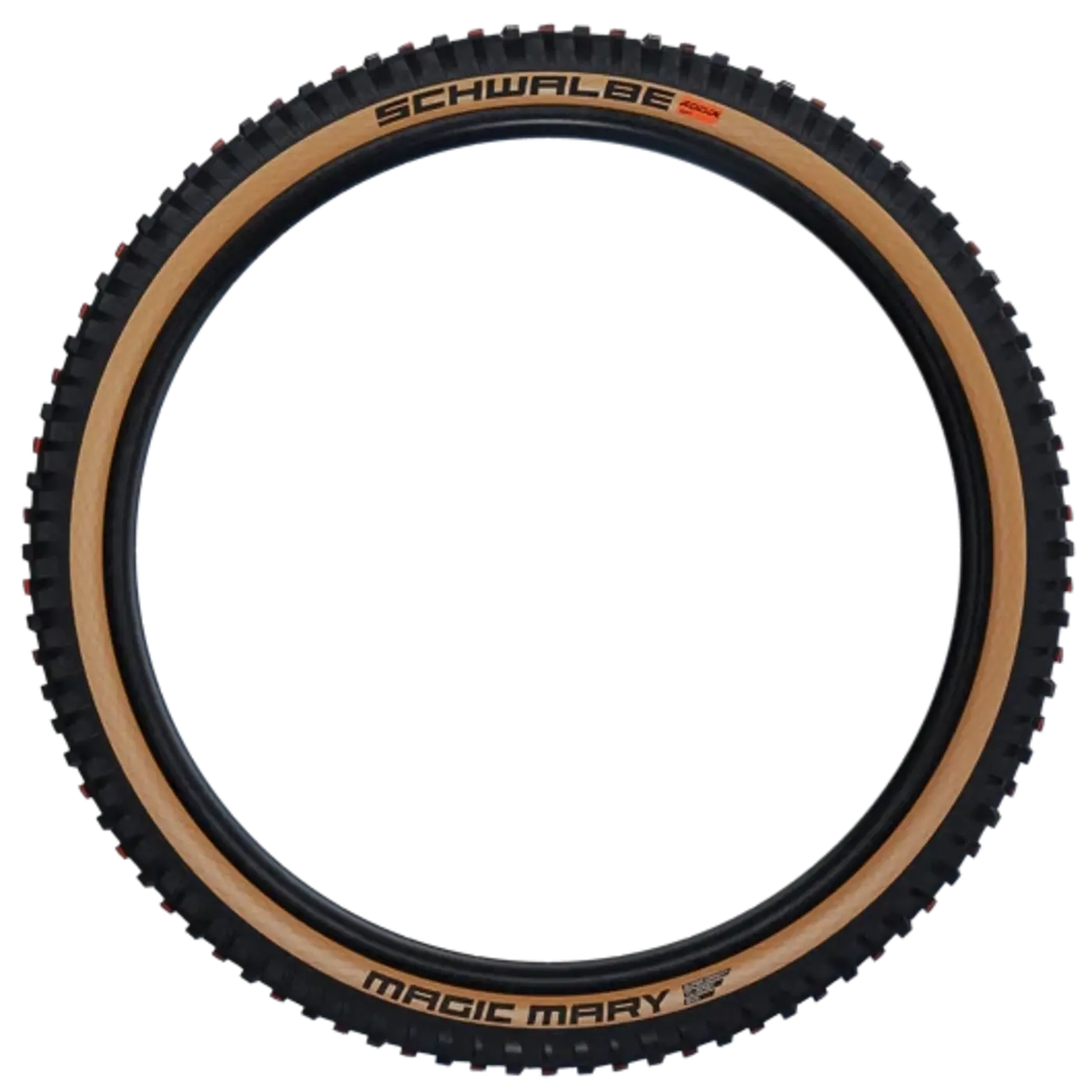Schwalbe Magic Mary EVO 29" - The Inside Line