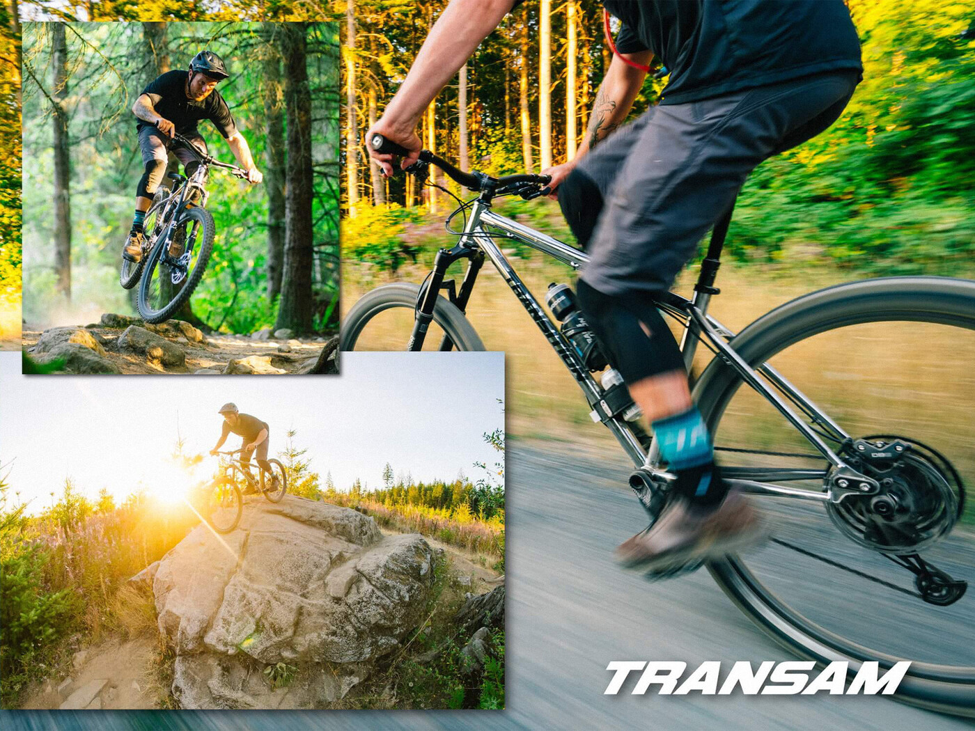Transition TransAM - The Inside Line