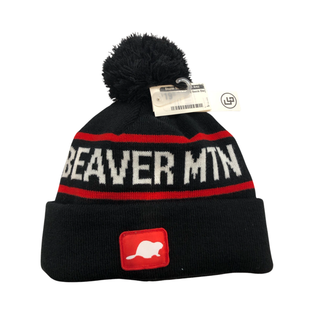 CG University Beanie - Beaver Mountain Gear Store