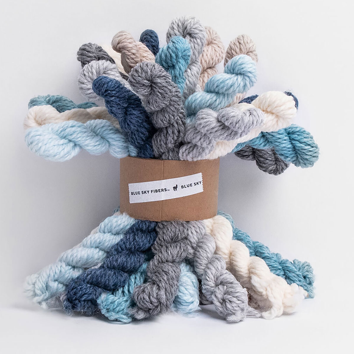Blue Sky Fibers Woolstok Bundle Kit - Magpie Knits