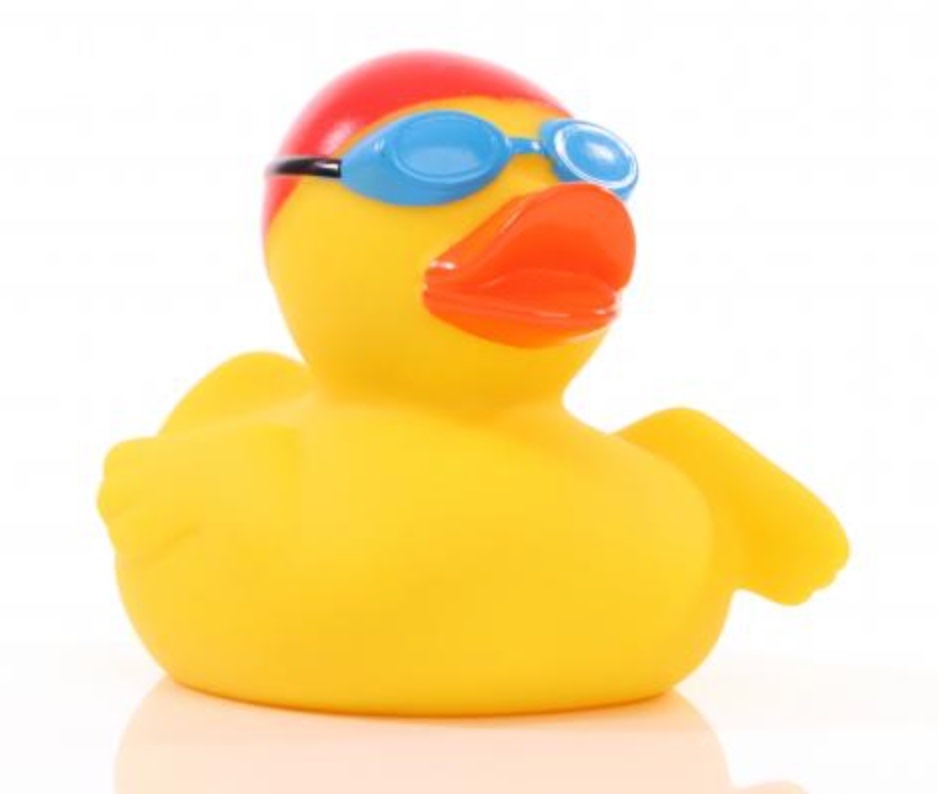 Swimmer Rubber Duck - Le Petit Duck Shoppe - Montreal, Canada - Le ...