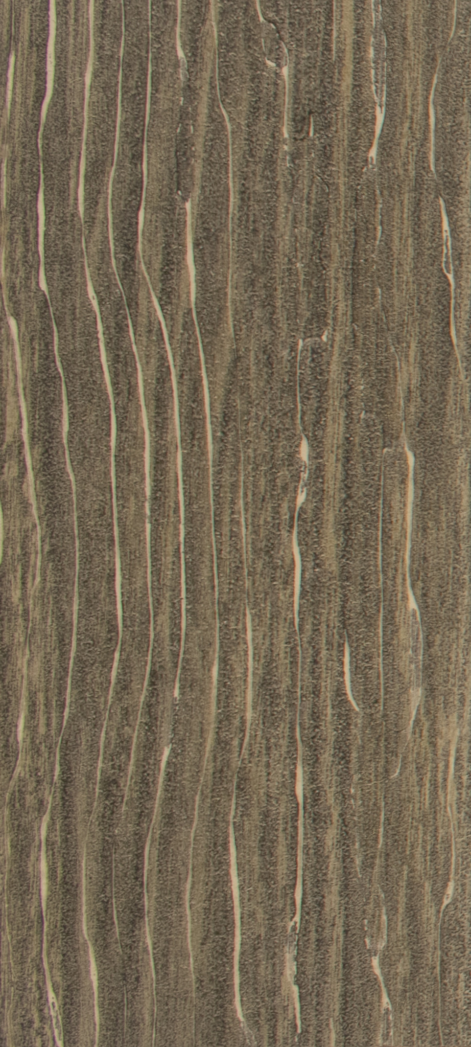 MoistureShield Vision Sandstone - A-OK Building Supply