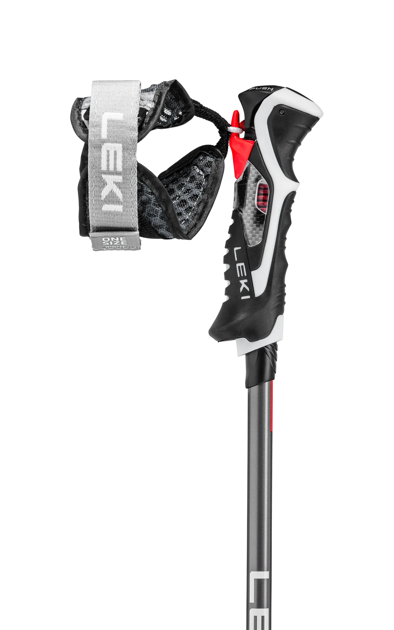 Shop the Best Carbon Ski Poles: Leki Carbon 14 3D Ski Pole and More ...