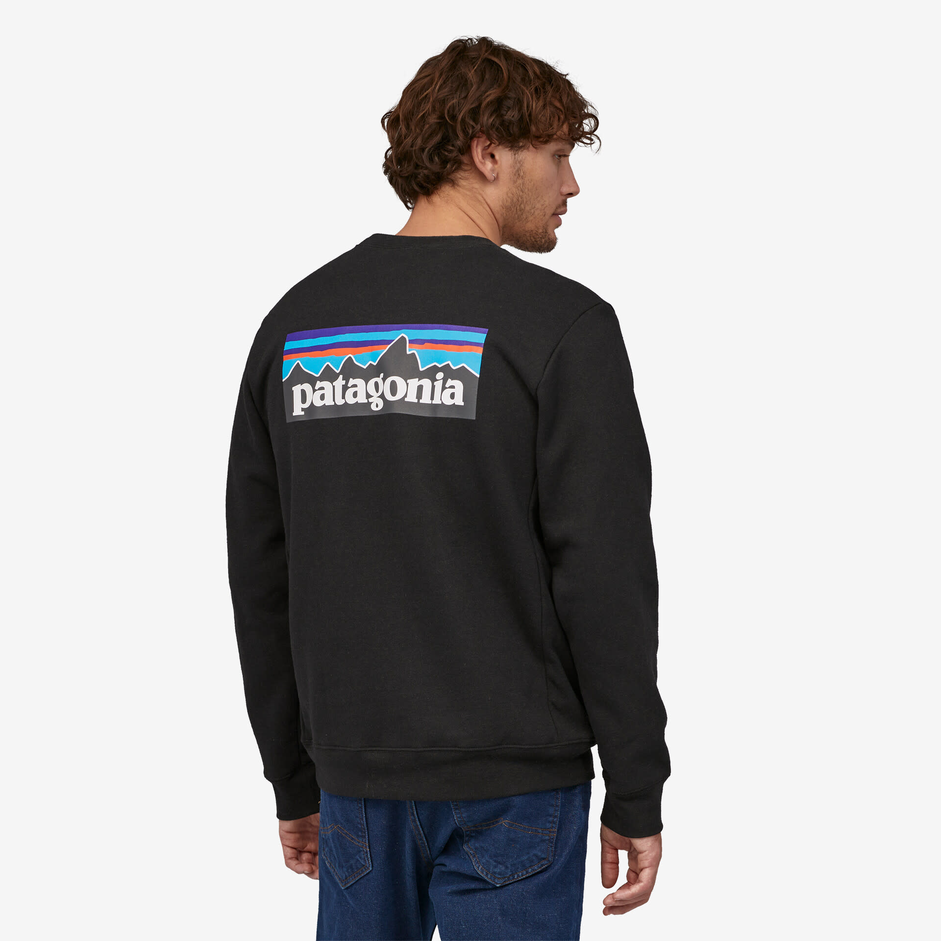 Discover the Patagonia P-6 Logo Sweatshirt: Sustainable Style Meets ...