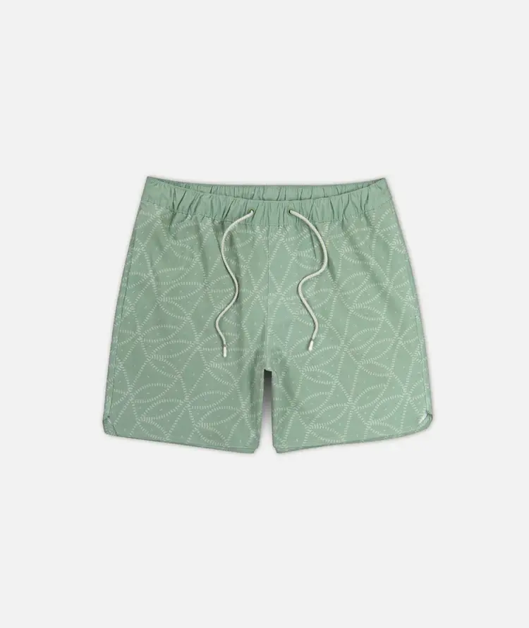 Discover Jetty Bayside Poolshorts - Elevate Your Summer Swim Style ...