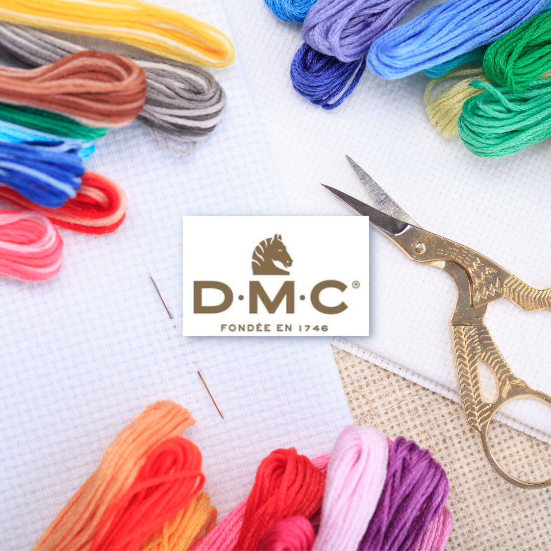 DMC Cotton Floss - String Theory Yarn Shop