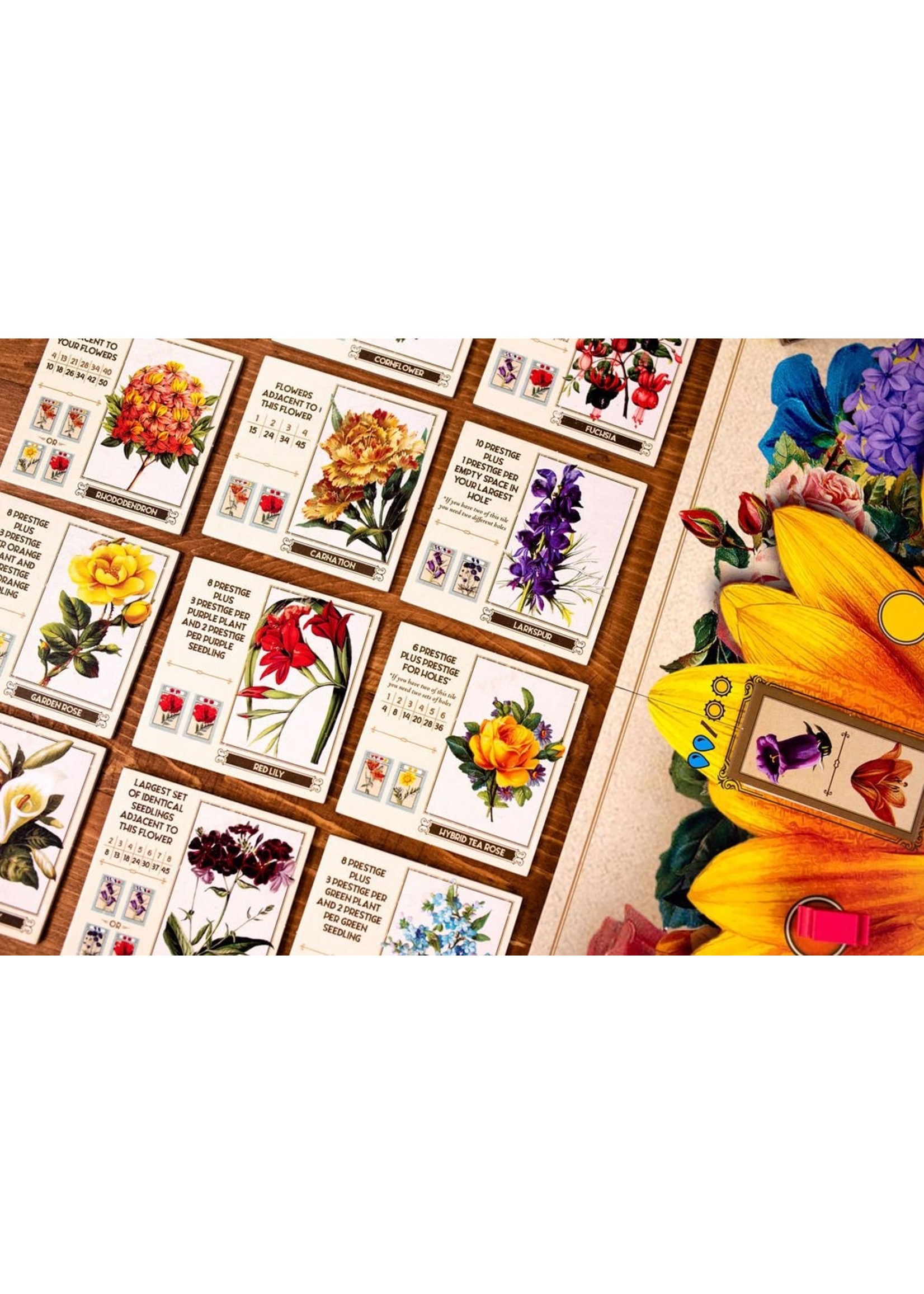 Gartenbau Board Game Gamescape North
