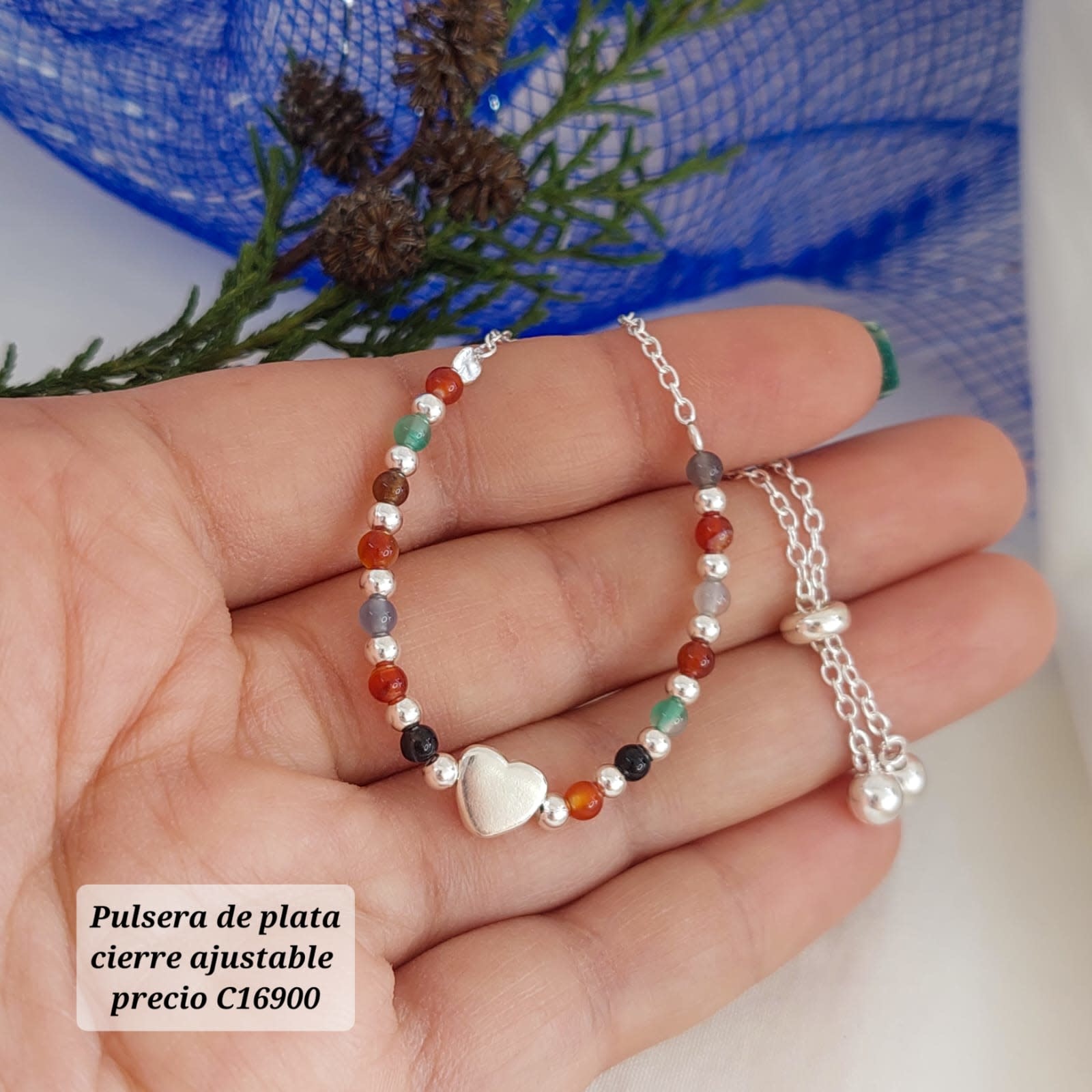 ₡16,900.00 IVA incluido