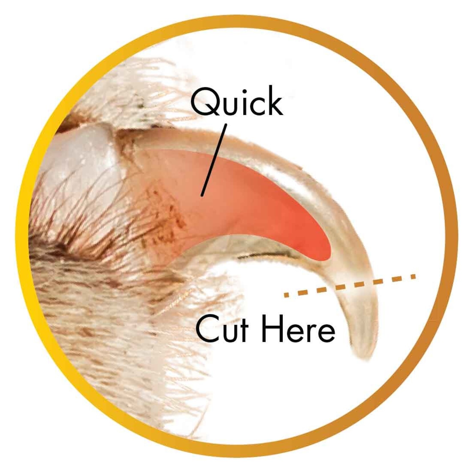 Guillotine Style Pet Nail Cutter Safari Guillotine Nail Clipper For ...