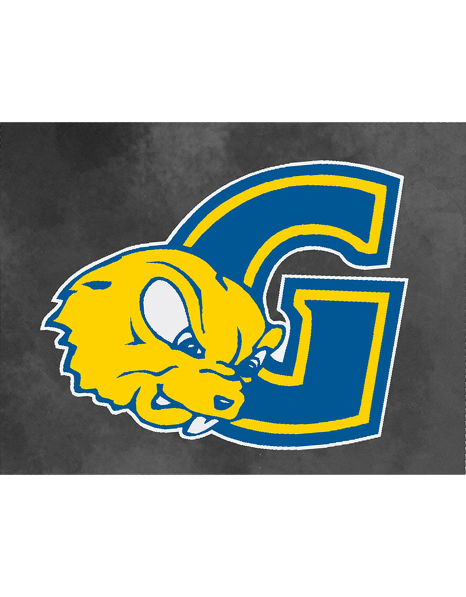 "Retro Gopher" Decal - Outside Application - Goucher College Store ...