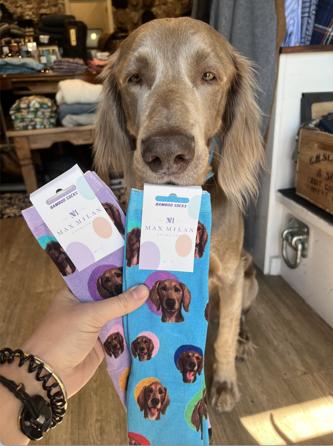 Kevin Bamboo Socks - Max Milan Stirling