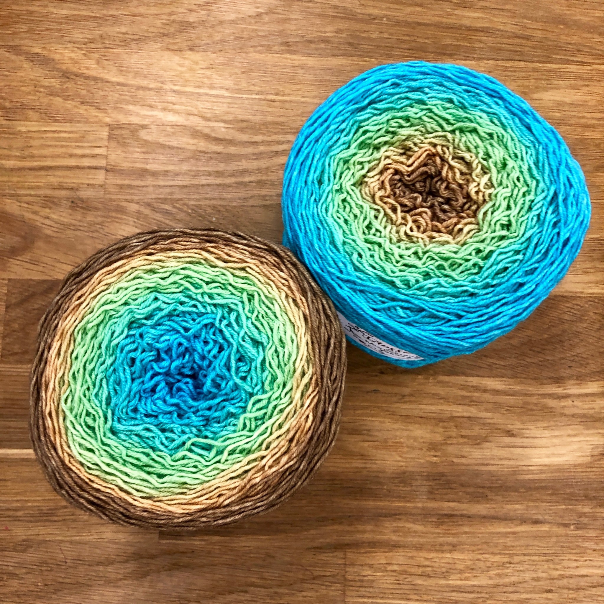 Blossoms Gradients by Wonderland Yarns - Yarn It & Haberdashery