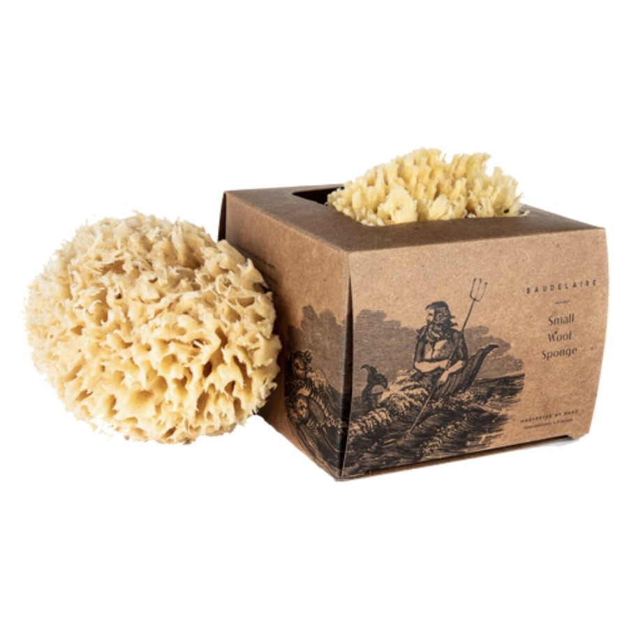 Wool Sponge Boxed Small - Main St Mercantile