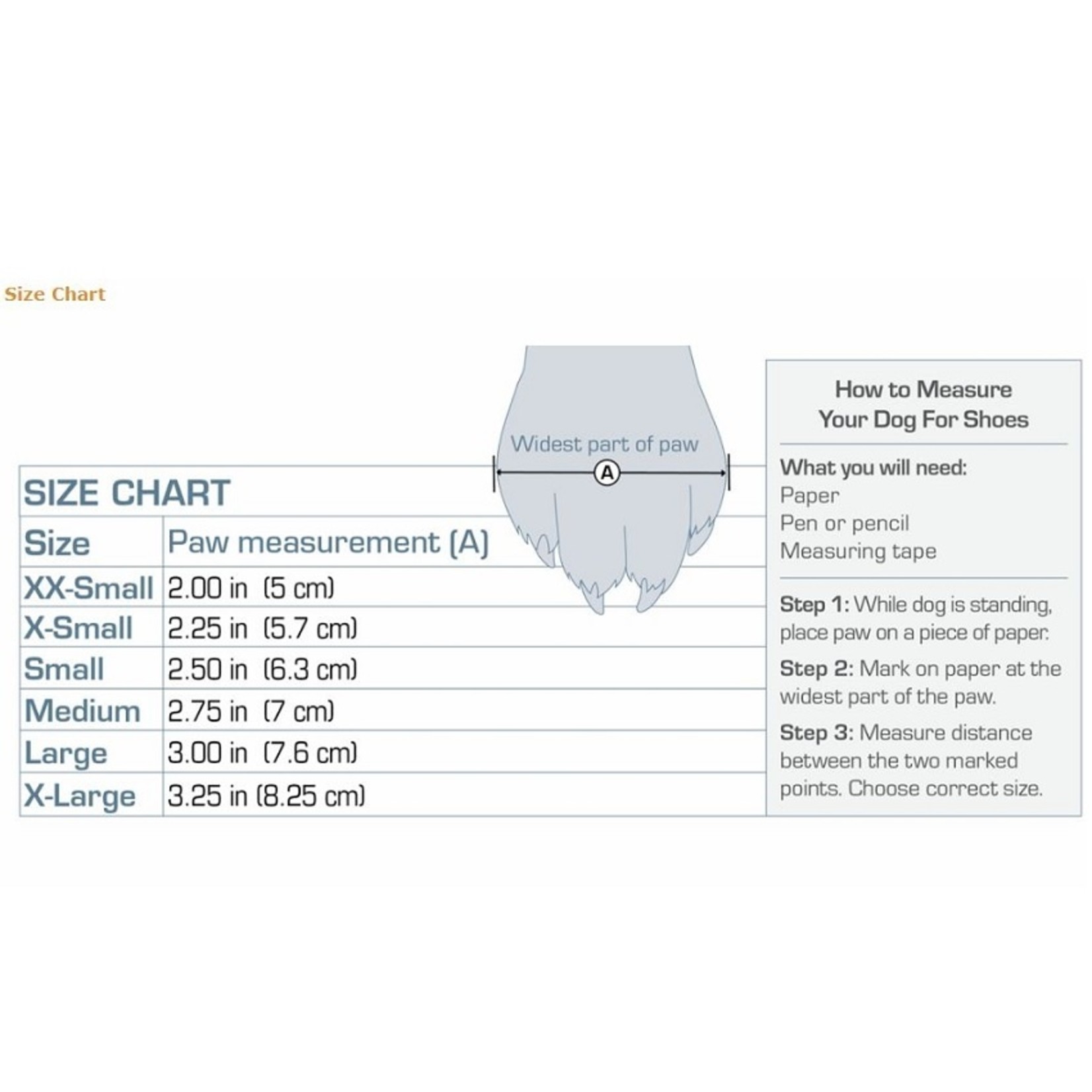 What Size Shoe Is My Dog