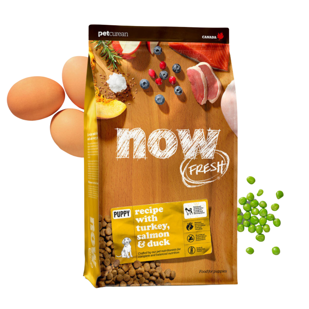 Now Fresh Puppy Turkey + Salmon + Duck - Pet Station