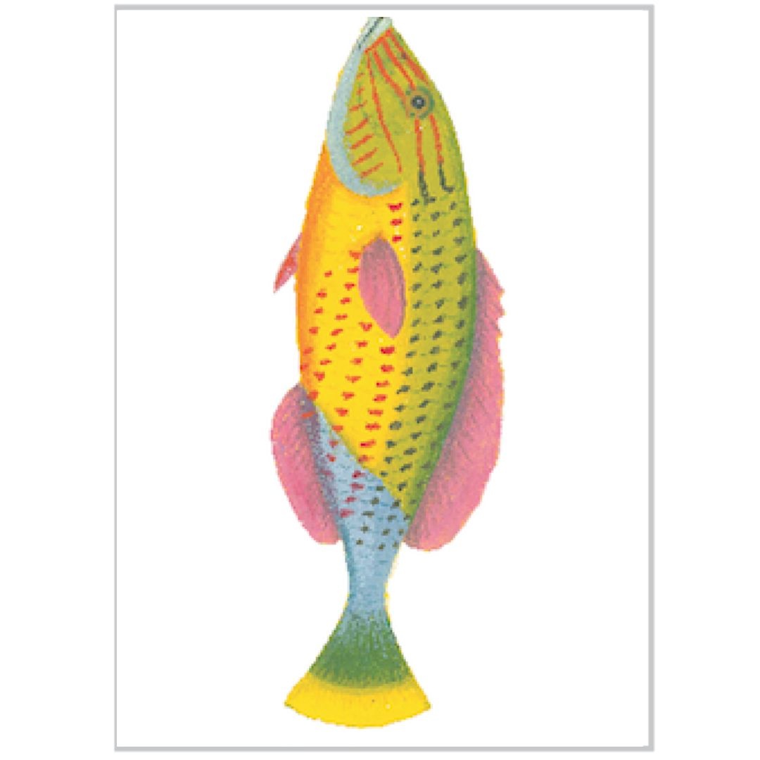 TEA TOWEL, Wrasse - Segar Passi - Cairns Art Gallery