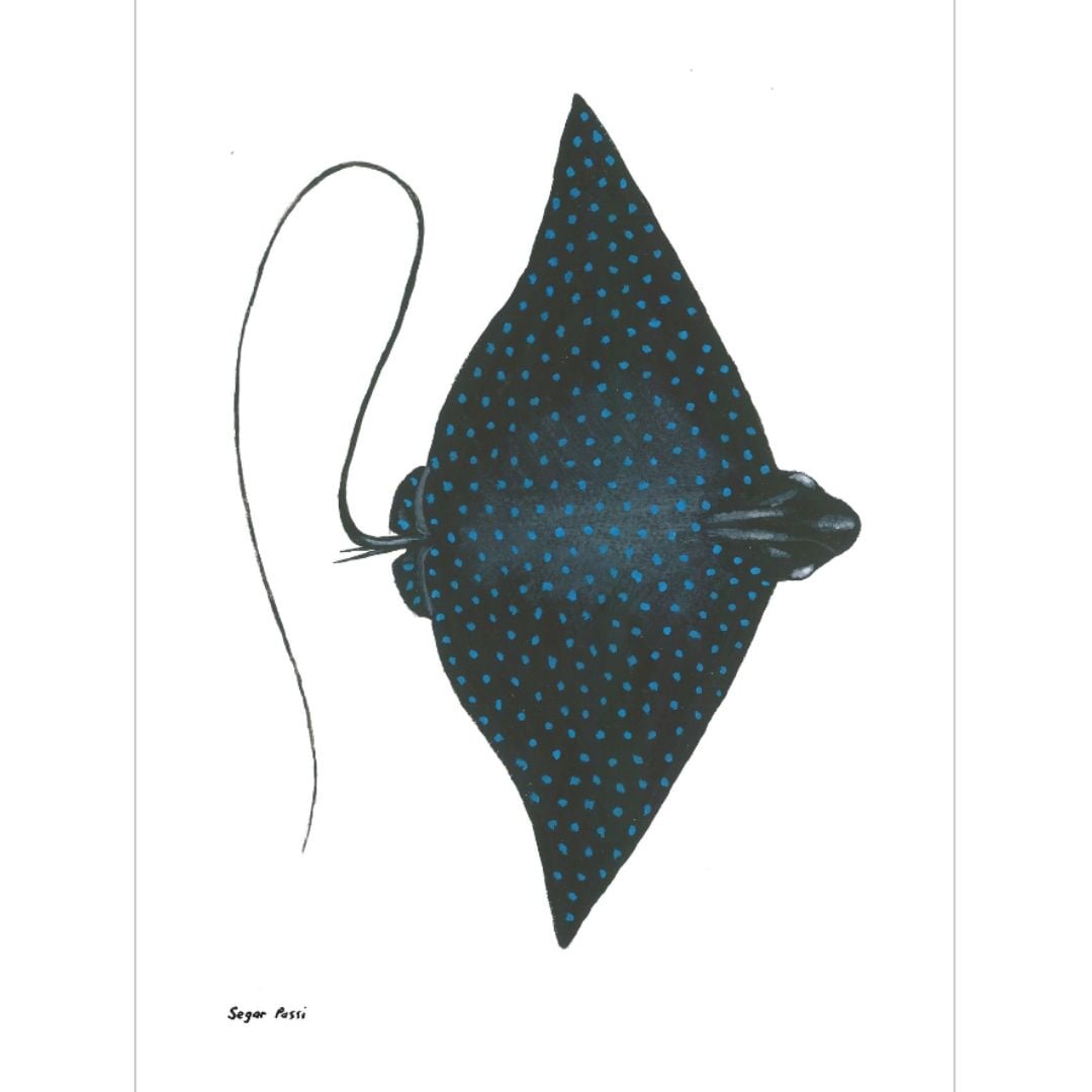 Segar Passi Tea Towel | Blue Spotted Eagle Ray - Cairns Art Gallery