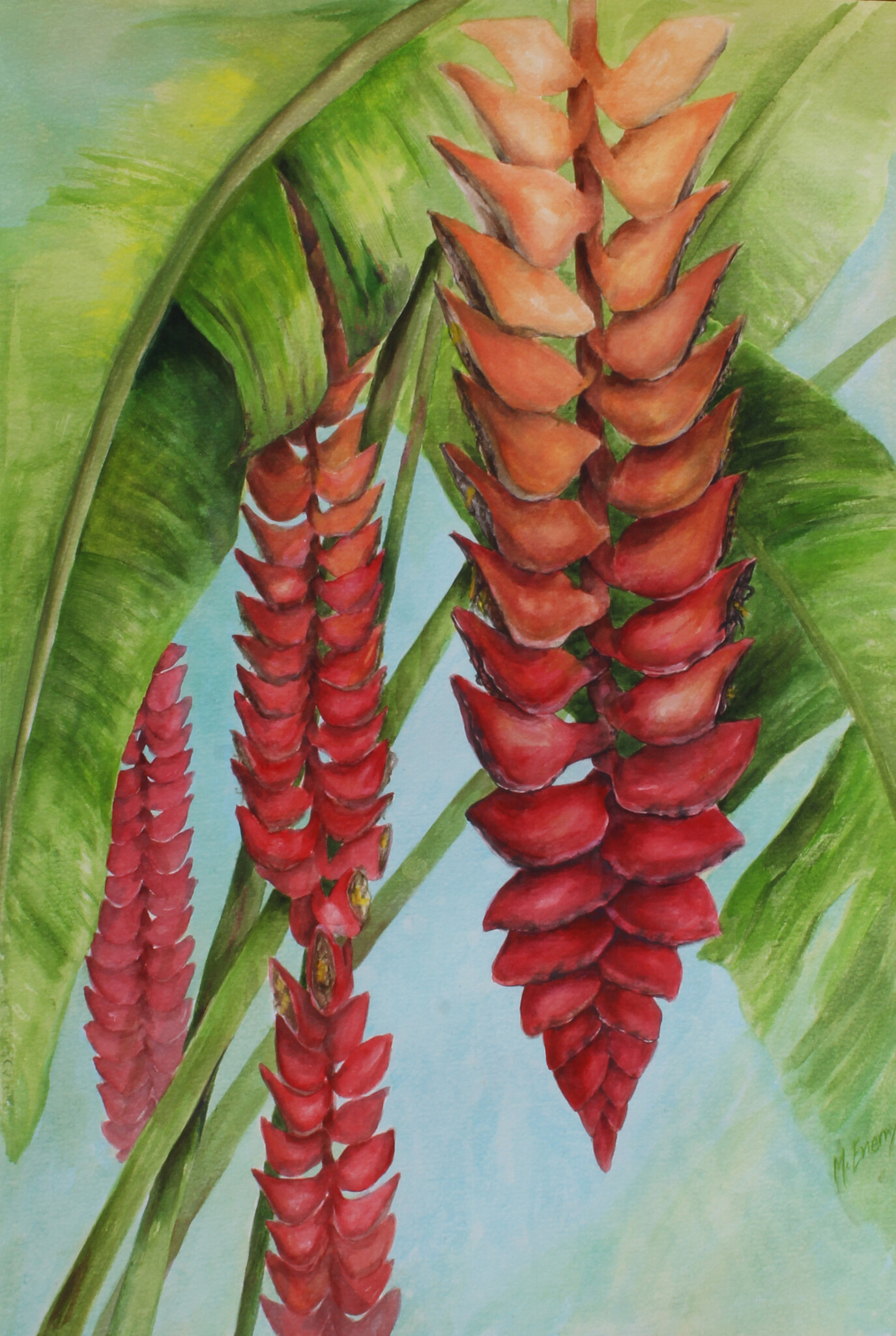 Heliconia Morning 2024 - Julie McEnerny - Original Work on Paper with ...