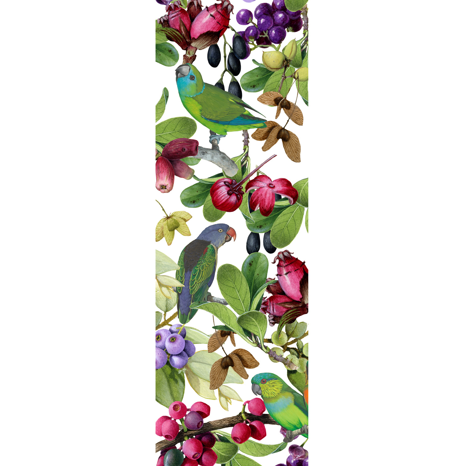 William T Cooper, Fig Parrot & Sauropus | Table Runner - Cairns Art Gallery