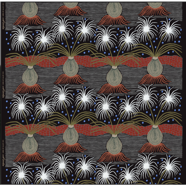 FIRST NATIONS - Cairns Art Gallery