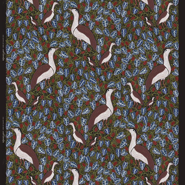 FIRST NATIONS - Cairns Art Gallery